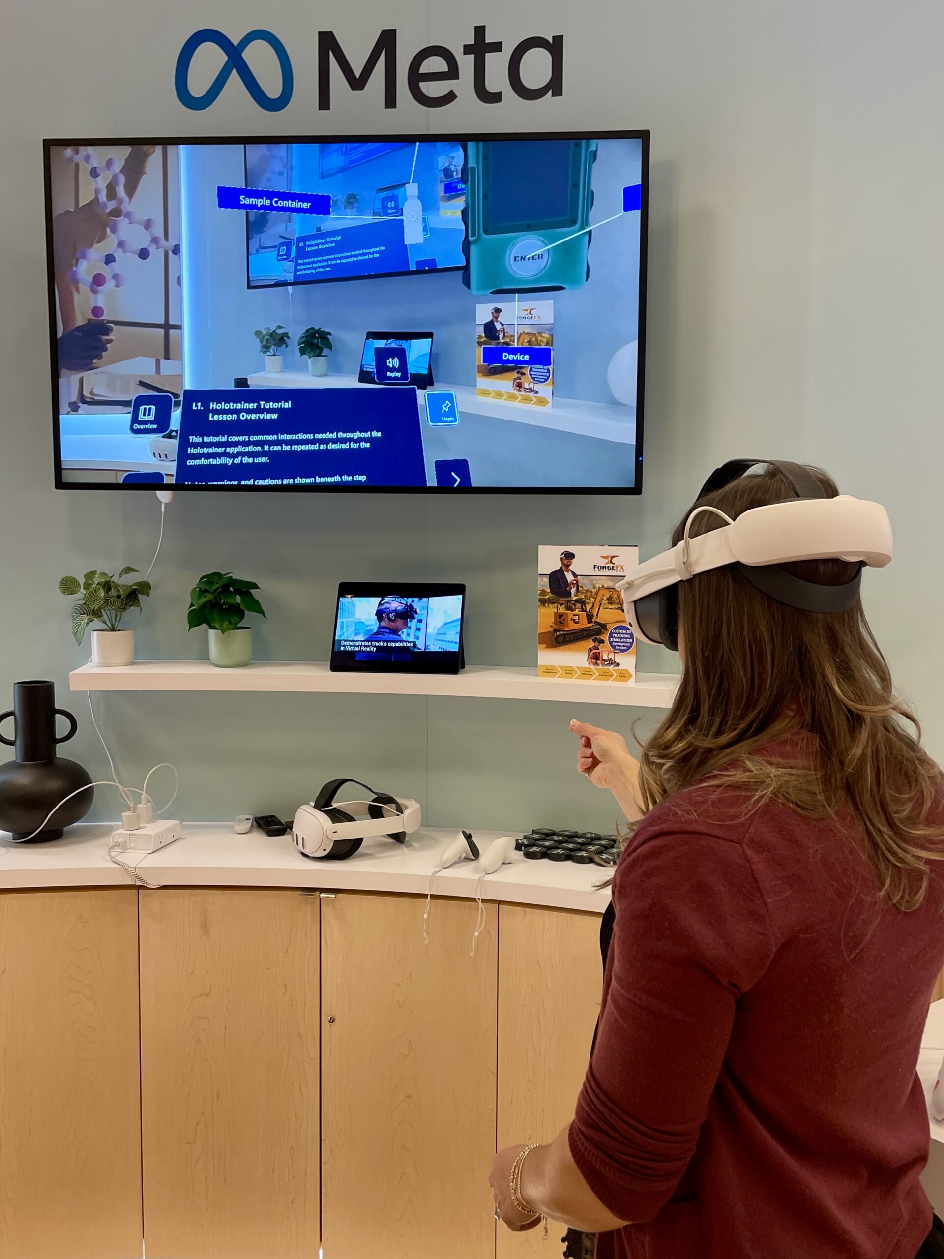 ForgeFX-Meta-AES - ForgeFX Simulations